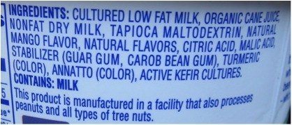 Lifeway Frozen Kefir Nutrition Facts | Besto Blog